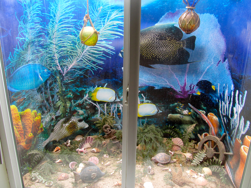 Ocean Scene Decorations