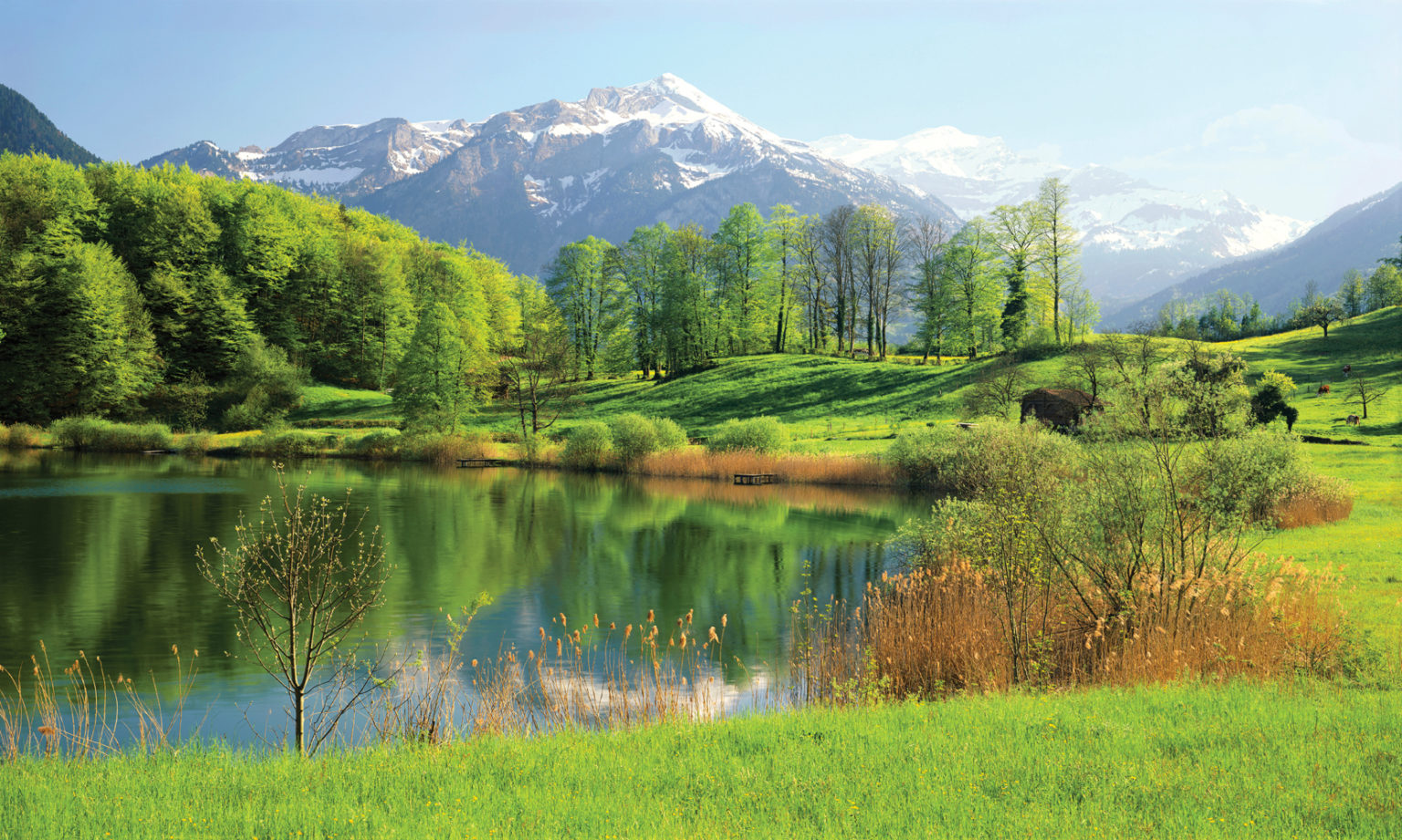 Lake - Biggies Window Well Scenes and Art