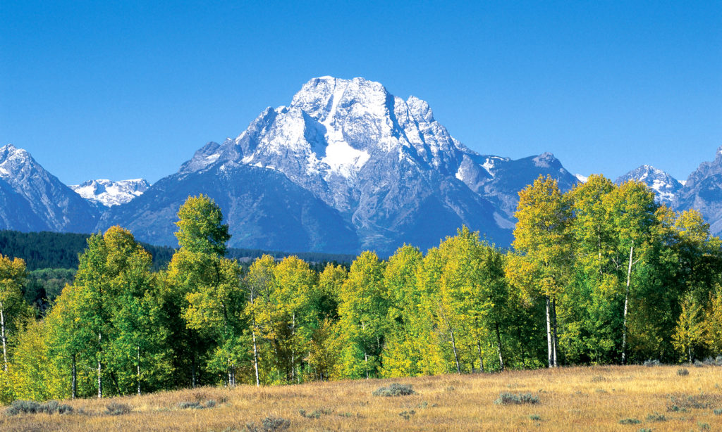 Mountain - Biggies Window Well Scenes and Art