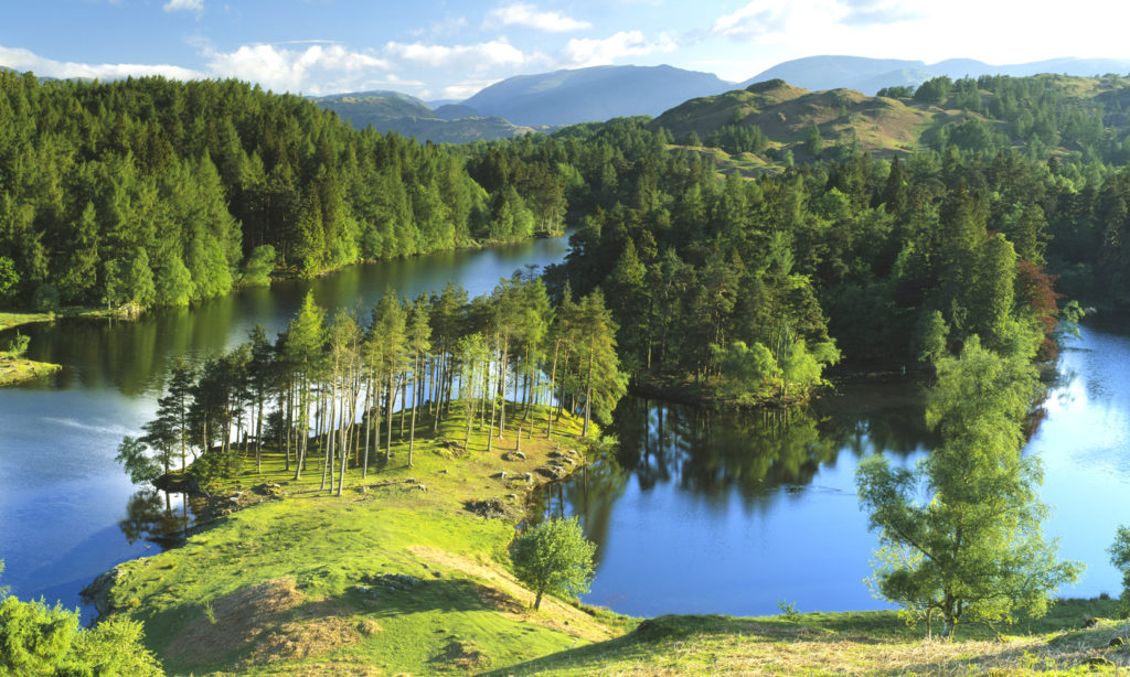 Peninsula - Biggies Window Well Scenes and Art