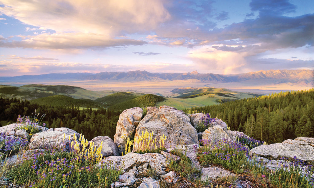 Sunrise - Biggies Window Well Scenes and Art