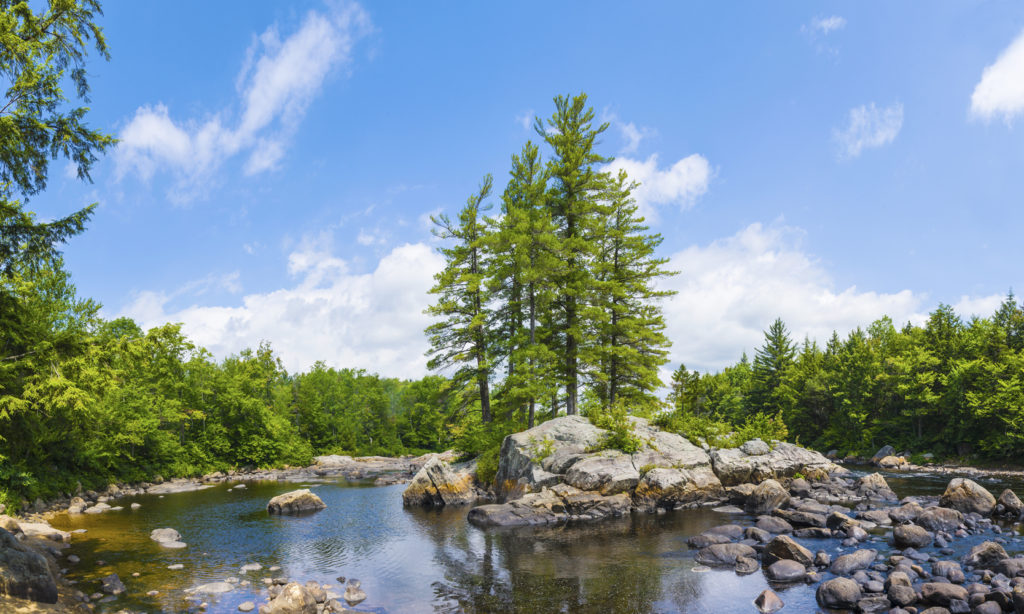 Stone - Biggies Window Well Scenes and Art