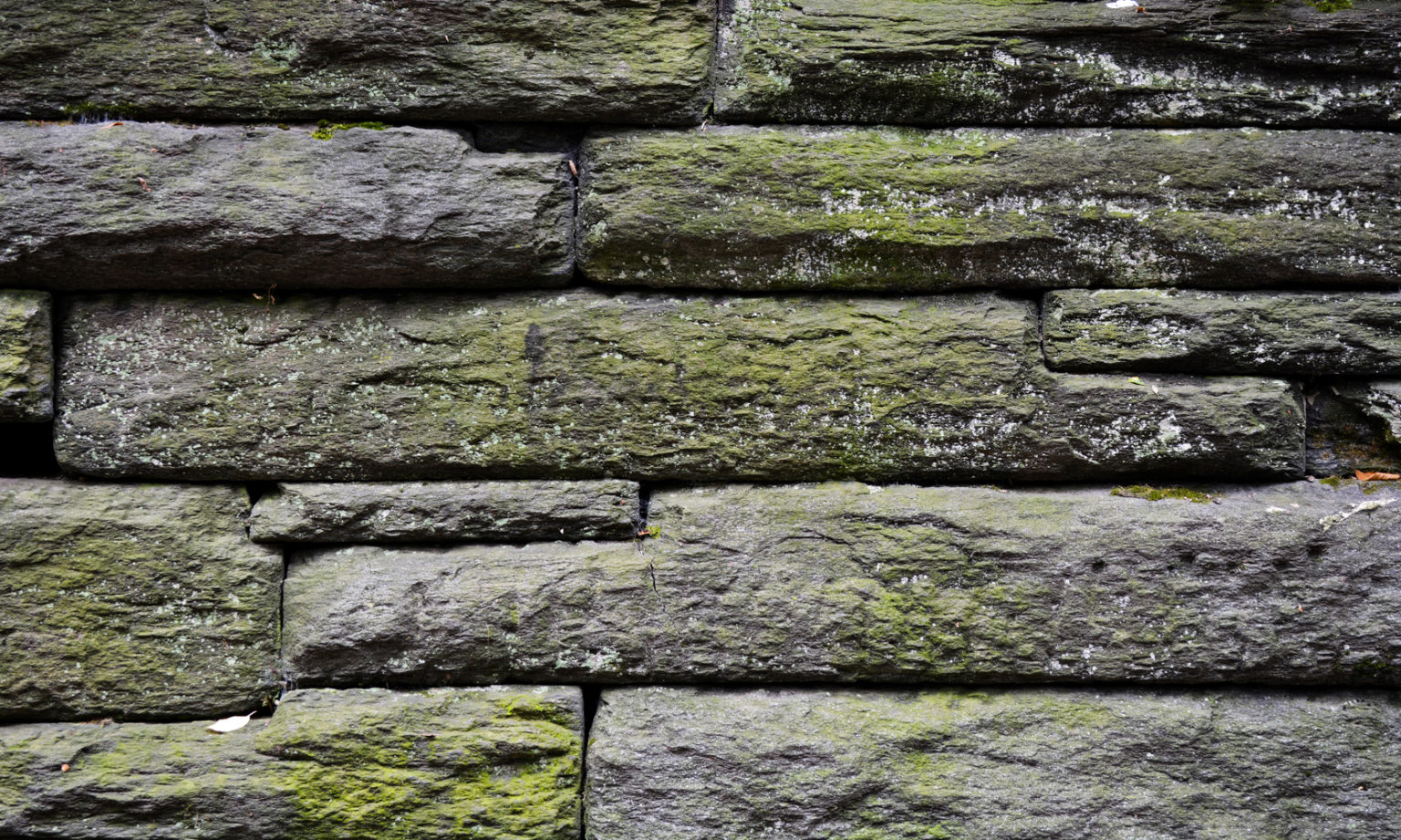 Rock - Biggies Window Well Scenes and Art